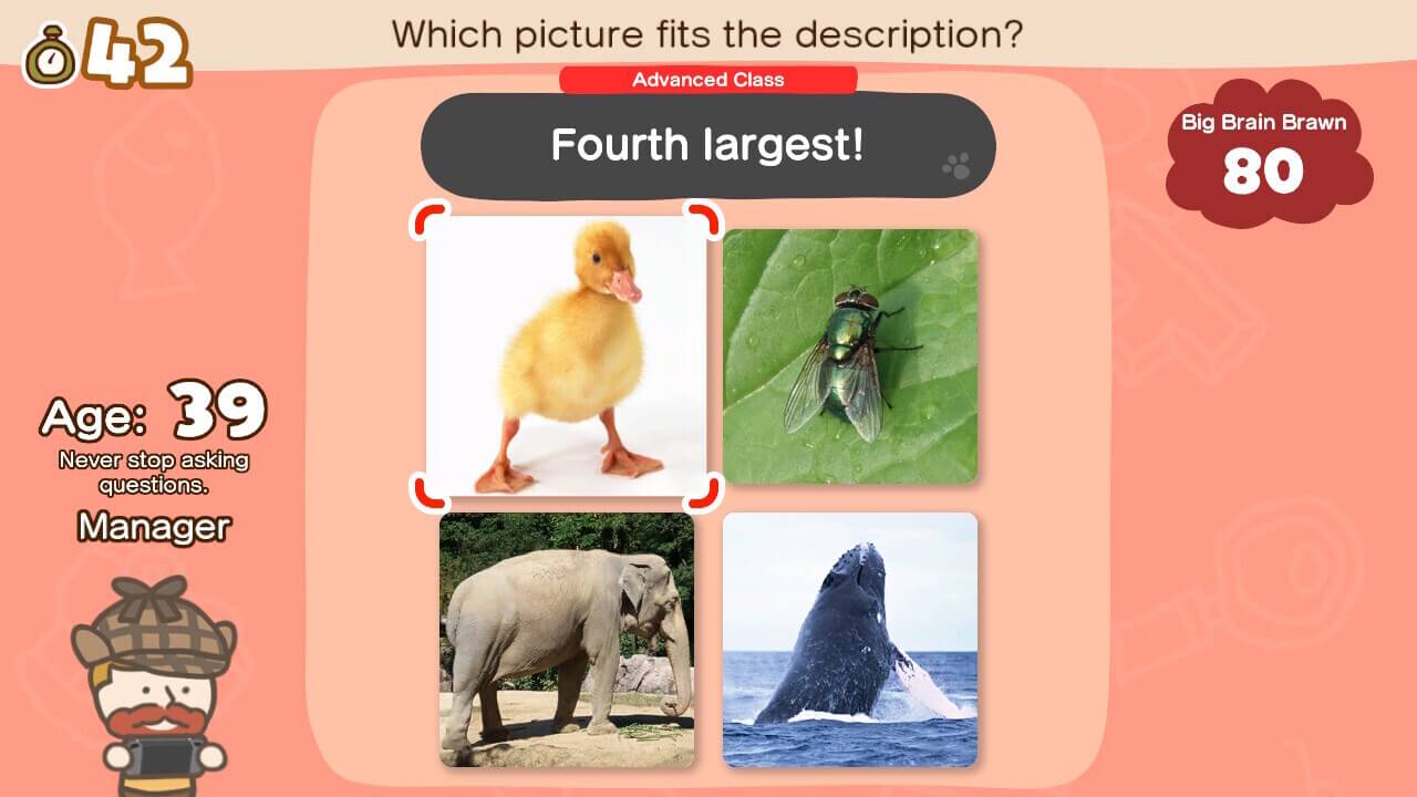 Análise: Big Brain Academy - Brain vs. Brain - Última Ficha